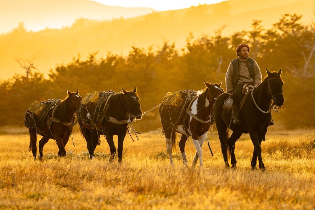 Chilean Pride: Hotel Las Torres Named South America’s Leading Green ...